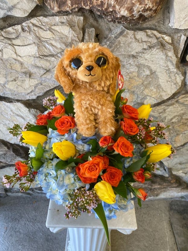 Occasion – Century Flowers